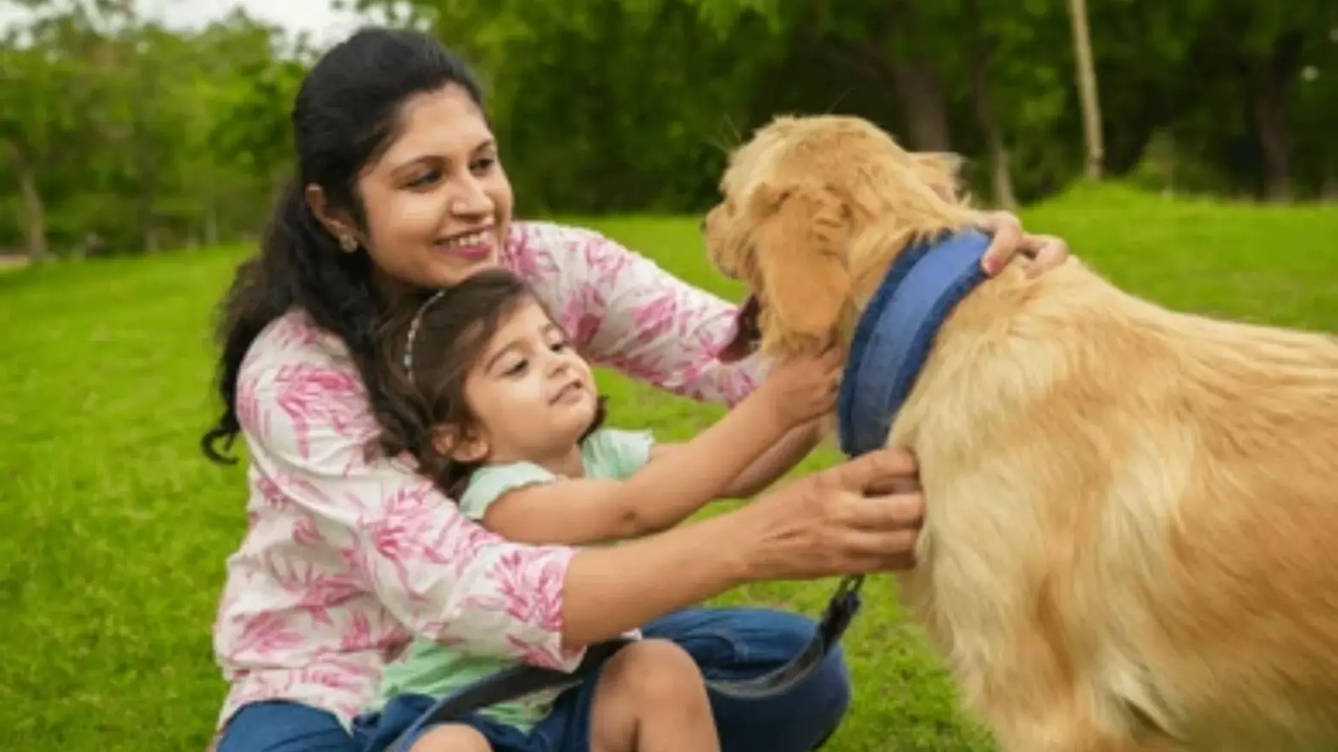 The Role of Animal-Assisted Activities in Children's Fitness