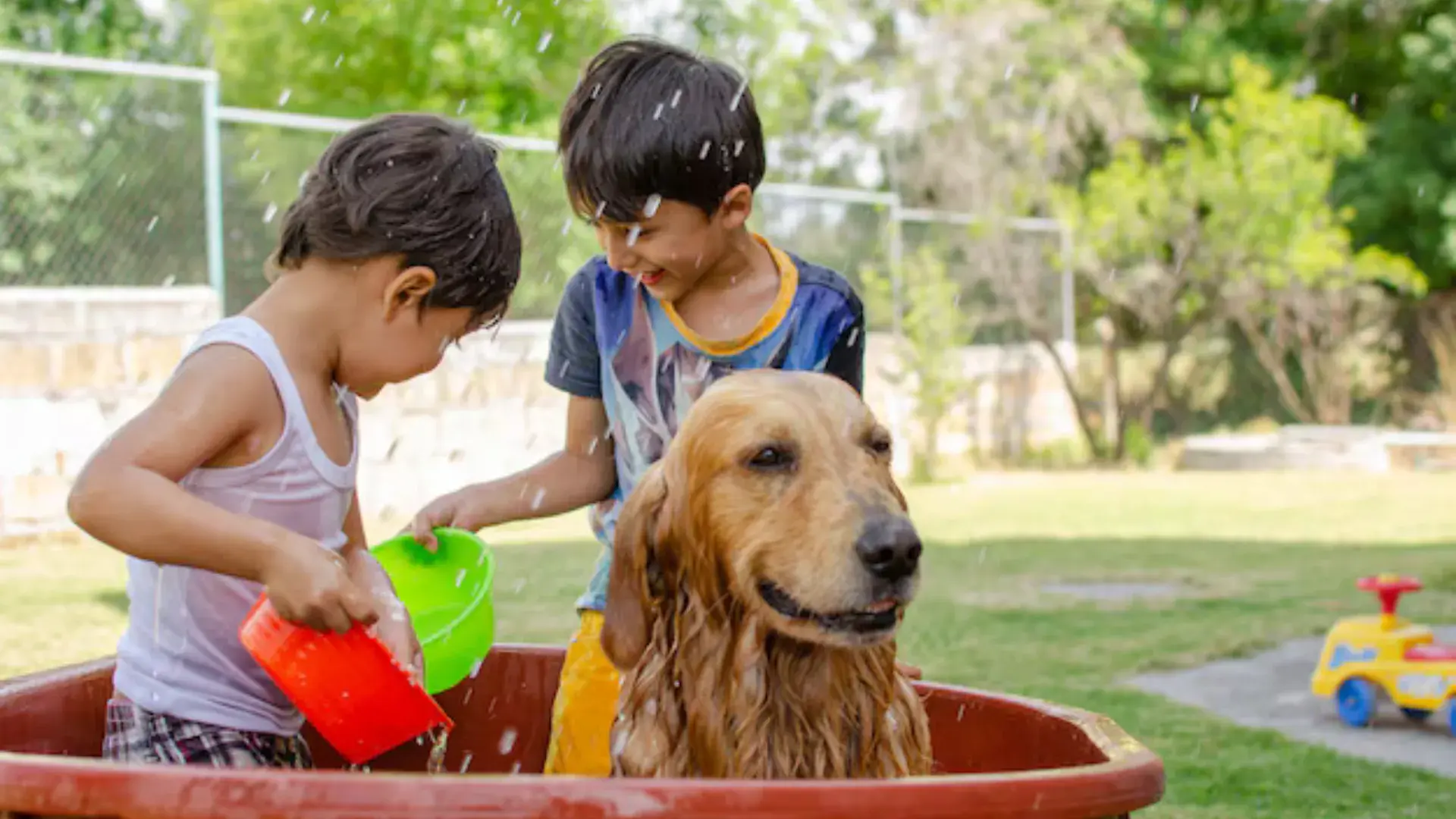 The Role of Pets in Child Development: Teaching Responsibility and Empathy